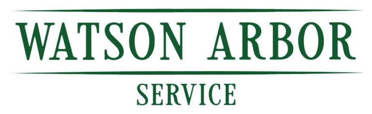 Watson Arbor Service | Tree Removal & Pruning in Columbia, SC